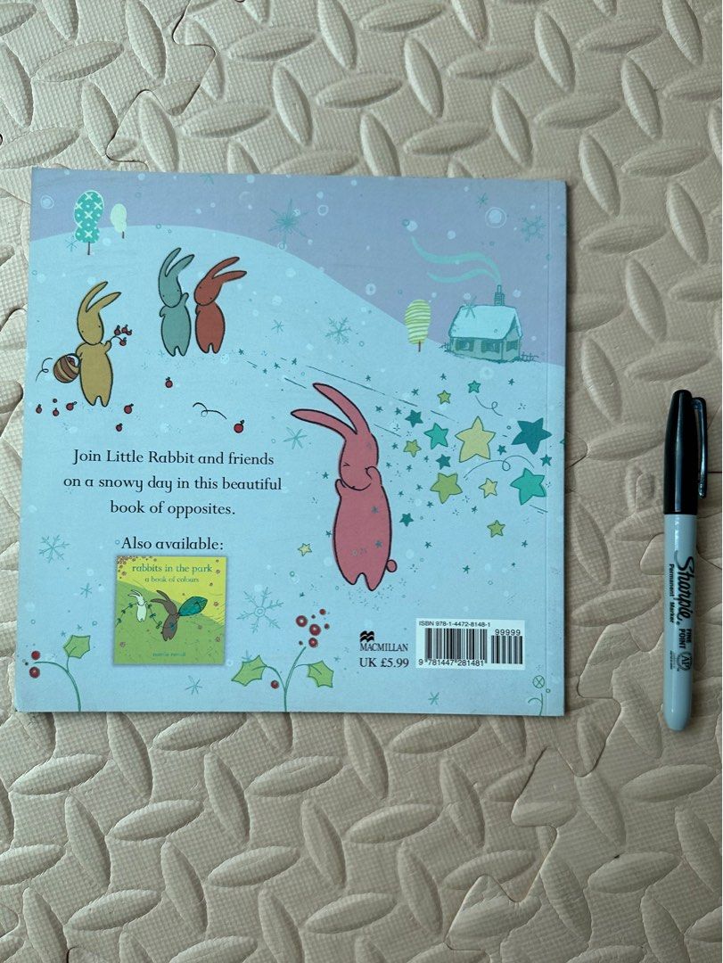 Rabbits in The Snow: A Book of Opposites, Hobbies & Toys, Books ...