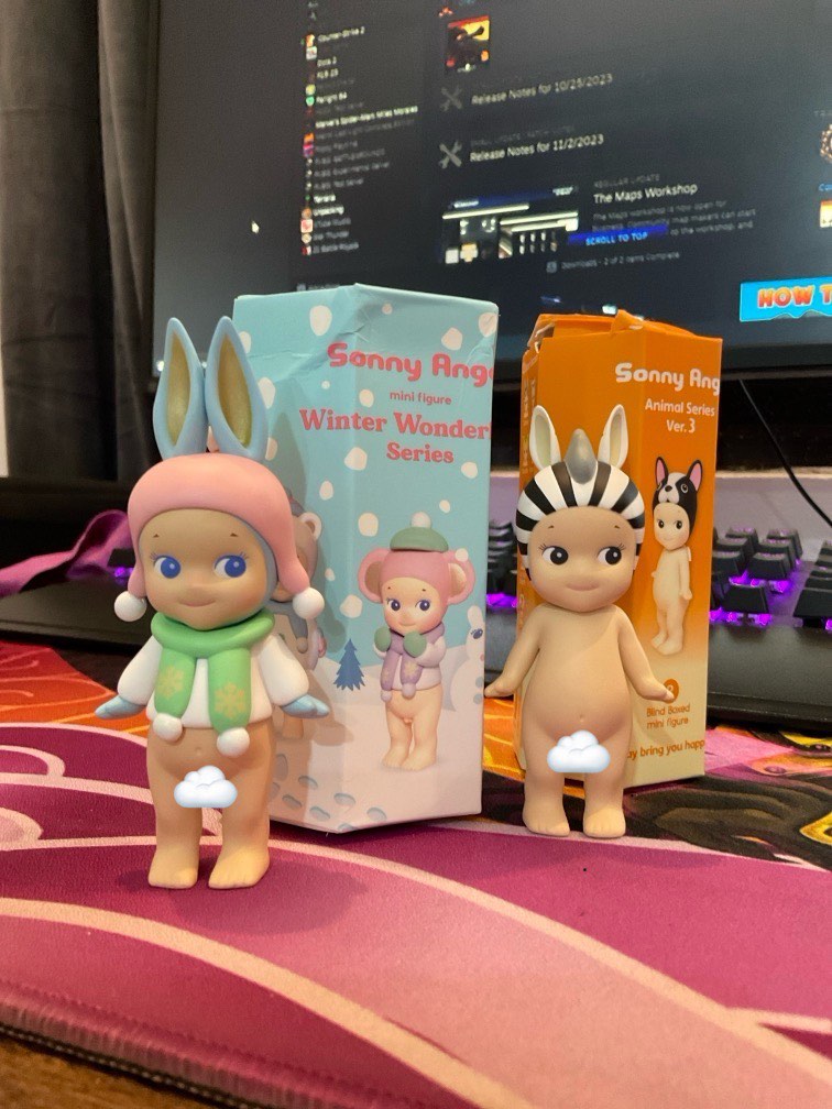 ️WTT/WTS/LFB ️Sonny Angel Animal Series Ver. 3 (Zebra), Hobbies & Toys ...