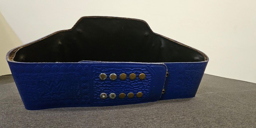 WWE Universal Championship Belt (Blue) Replica, Hobbies & Toys ...