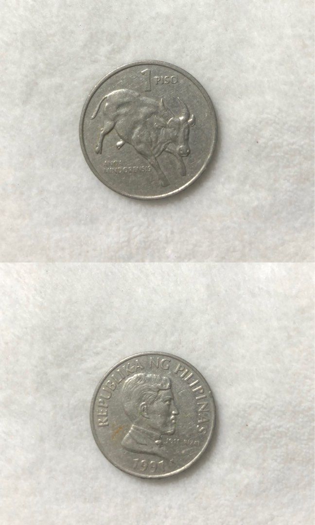 1991 Old 1 Piso coin KALABAW, Hobbies & Toys, Memorabilia ...