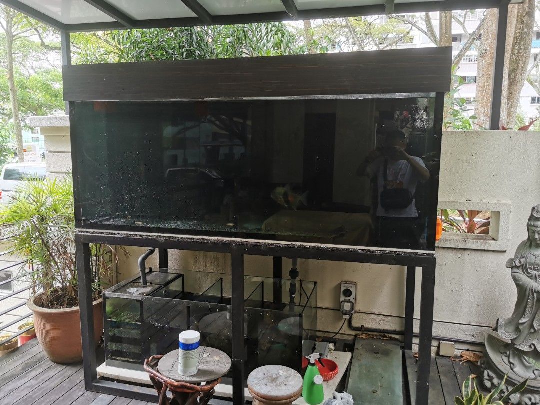 6 feet Fish tank, Pet Supplies, Homes & Other Pet Accessories on Carousell