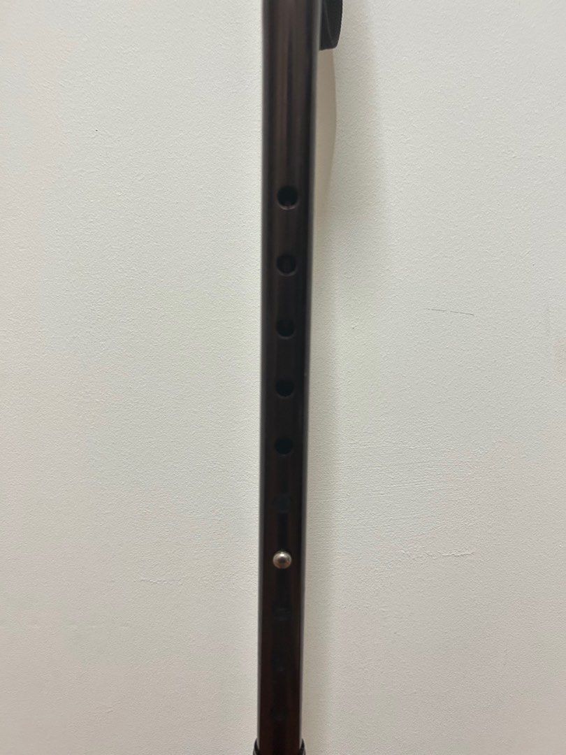 Bion Quad Cane Narrow Base, Walking Stick, Health & Nutrition ...