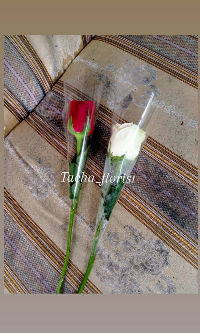 Bunga mawar pertangkai asli ,15rbu 2 tangkai MINIMAL 20 TANGKAI ...