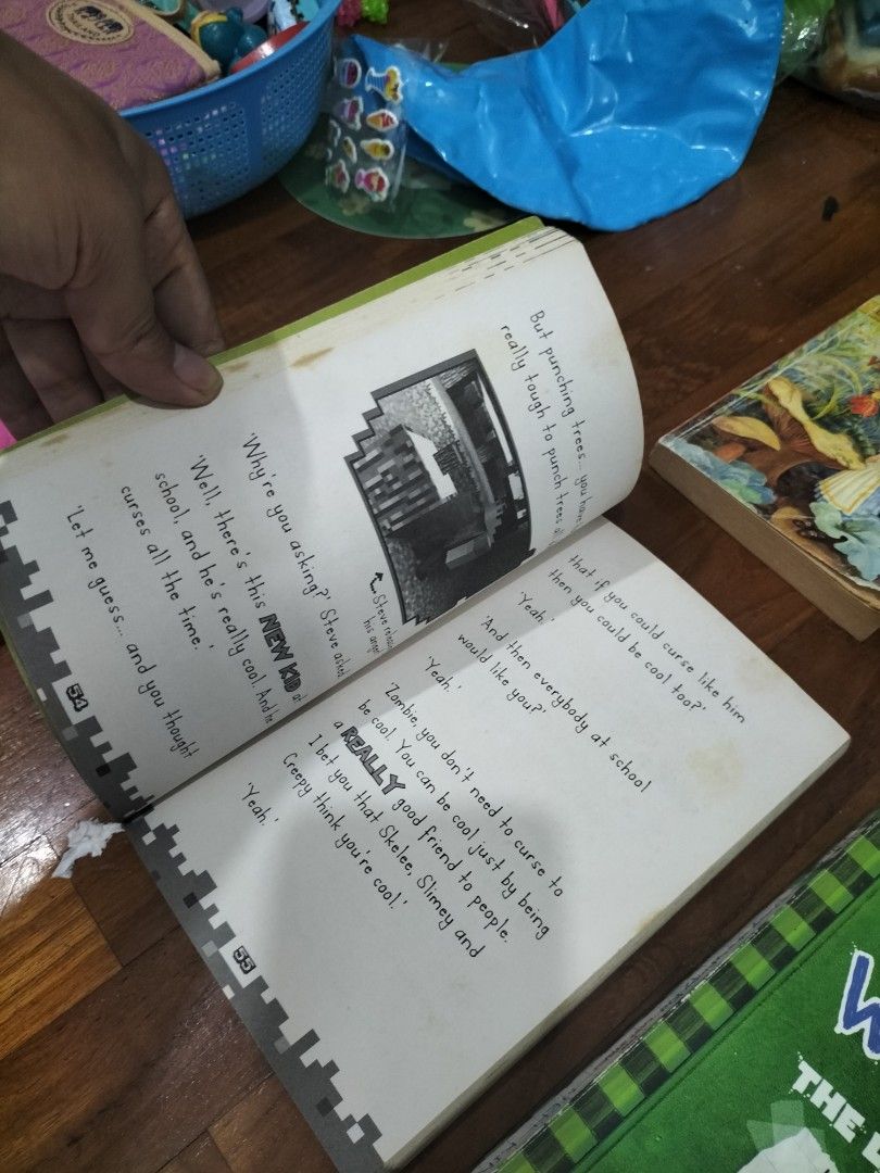Children books roald Dahl diary of a Minecraft zombie diary of wimpy ...