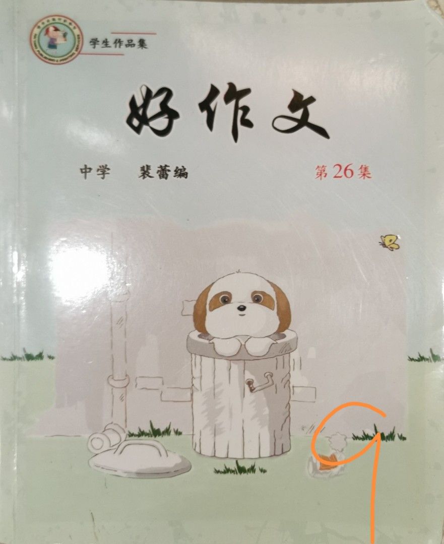 Chinese model compo, Hobbies & Toys, Books & Magazines, Assessment ...