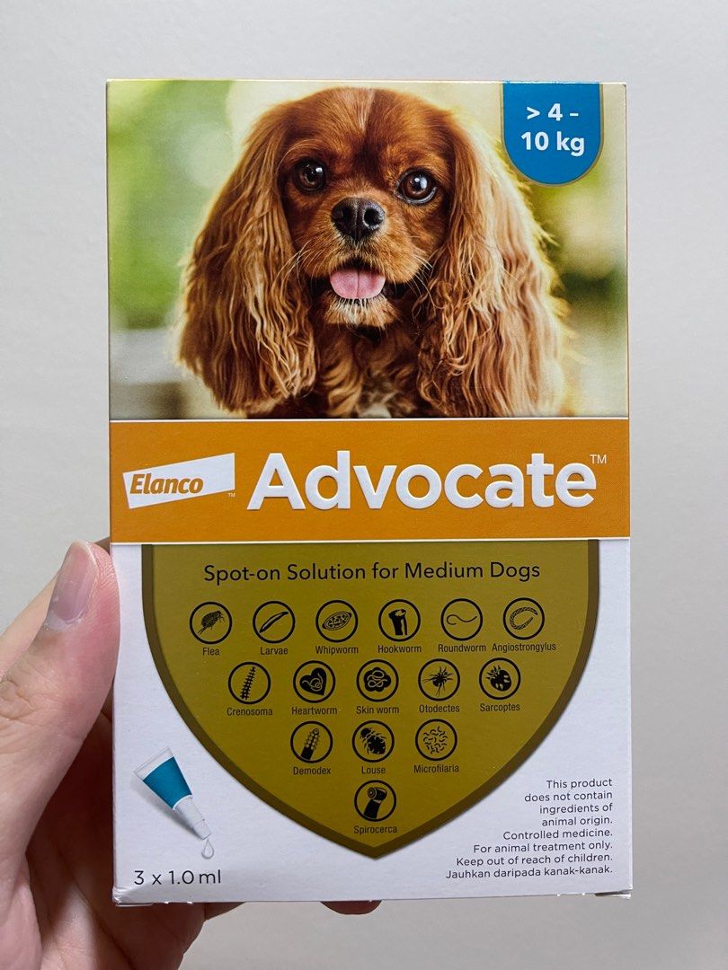 Elanco Advocate for dogs 4-10kg, Pet Supplies, Health & Grooming on ...