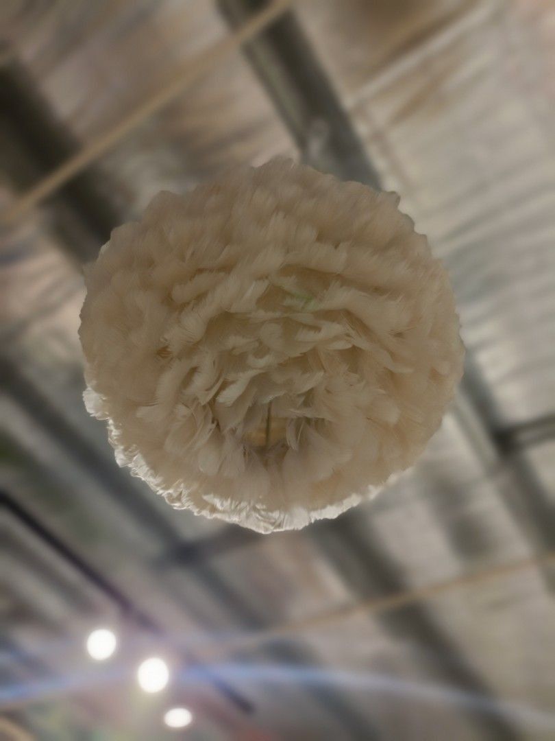 FLUFF Hanging Pendant Lamp, Furniture & Home Living, Lighting & Fans ...