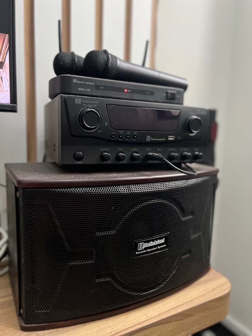 Home Karaoke Amplifier & Speaker System with Microphones, TV & Home Appliances, TV ...