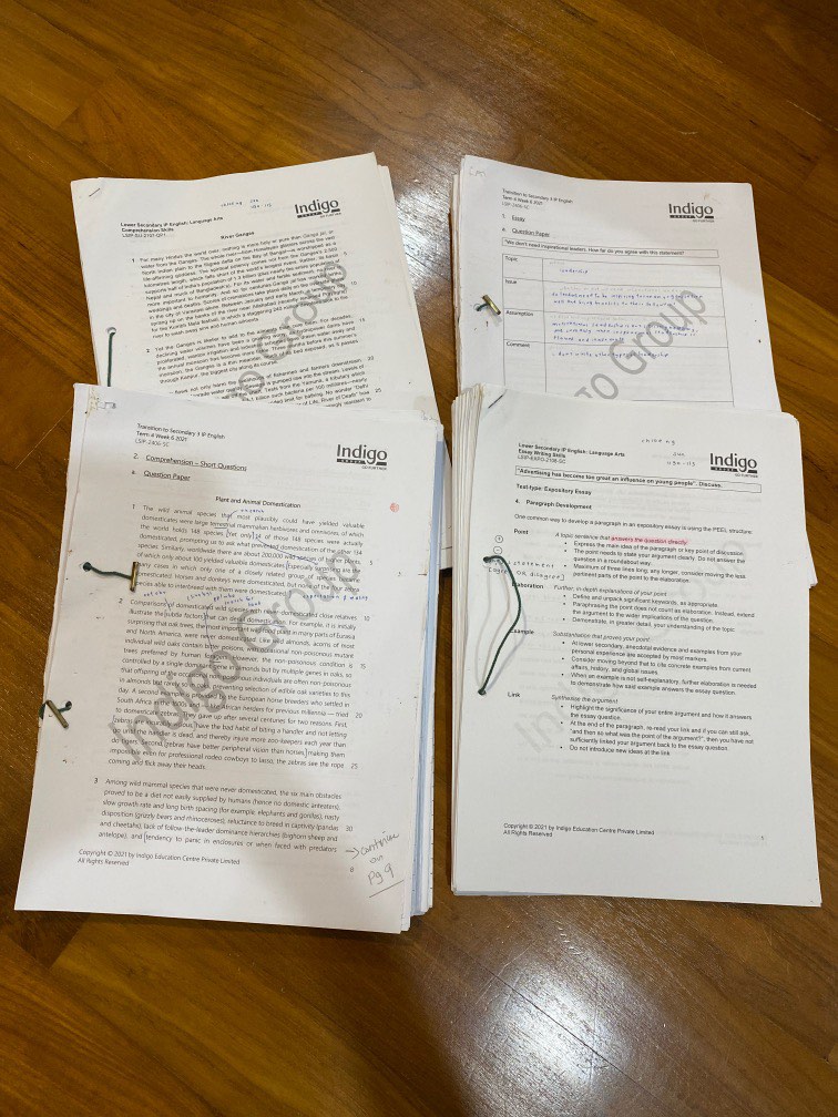 Indigo Edu IP English Language Arts lower secondary, Hobbies & Toys ...