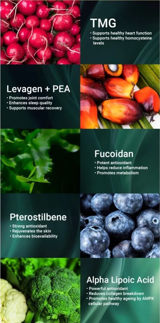 INVITY Ultimate NMN 12000 Energy Boost Weight Management (60 Veg ...