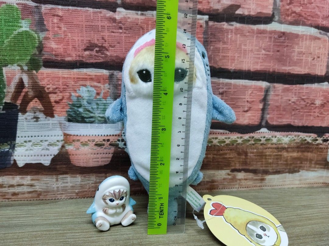 Mofusand samenyan Cat shark plush with cat shark figure, Hobbies & Toys ...