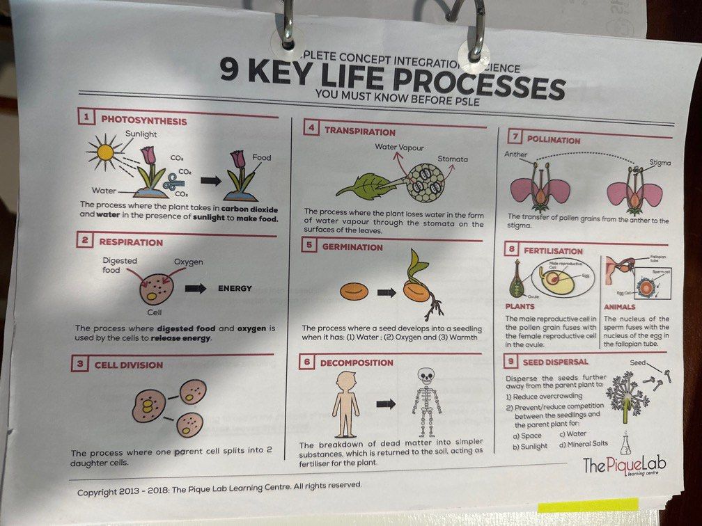 PSLE Science notes, Hobbies & Toys, Books & Magazines, Assessment Books ...