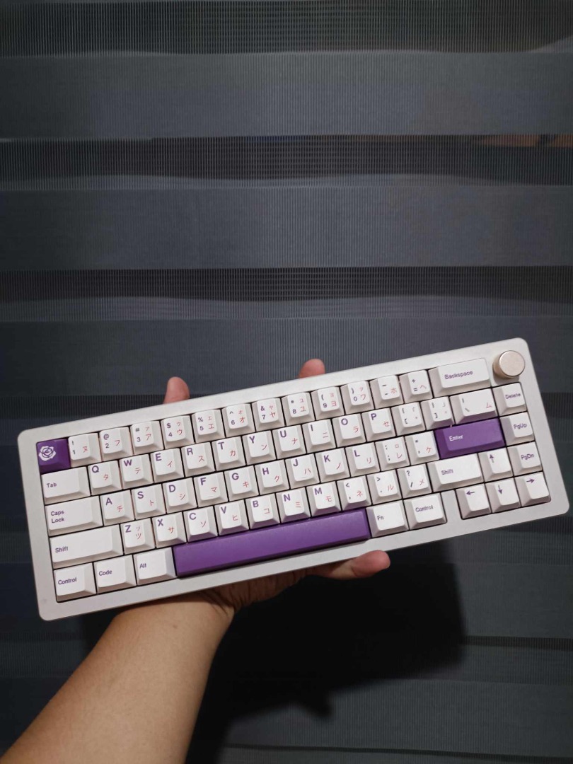 Sugar65 Champagne ANSI, Computers & Tech, Parts & Accessories, Computer ...