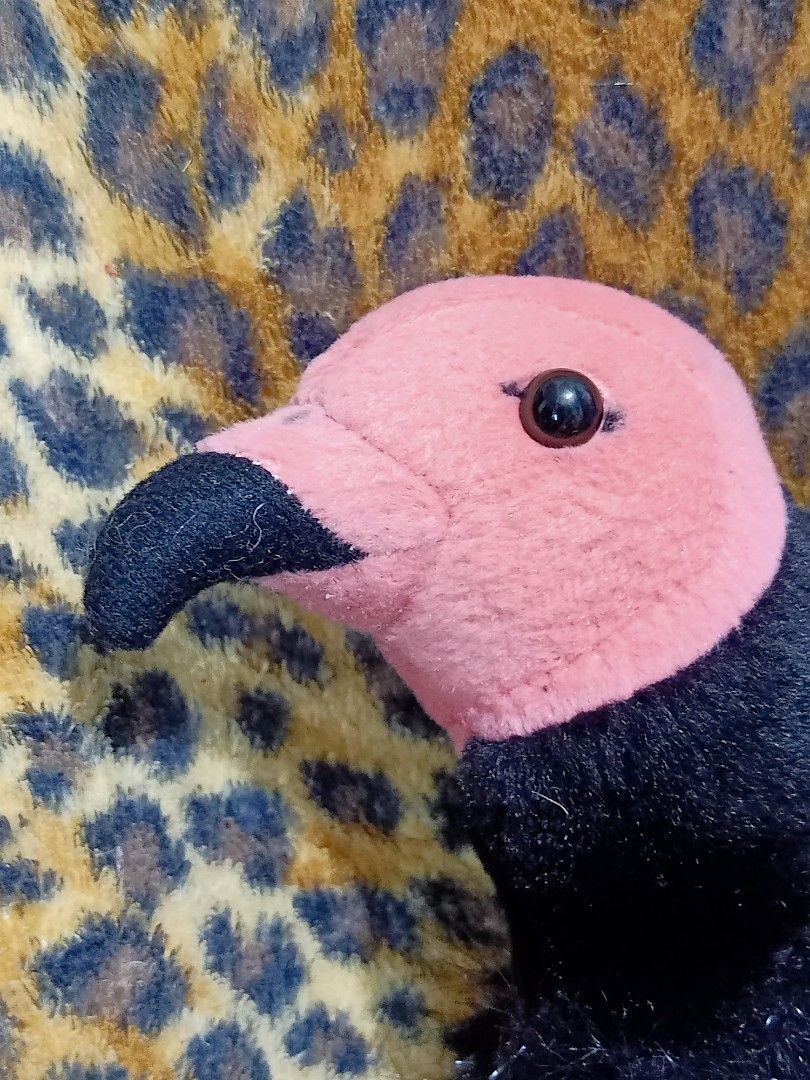 VERY RARE REALISTIC VULTURE BIRD PLUSH TOY, Hobbies & Toys, Toys ...