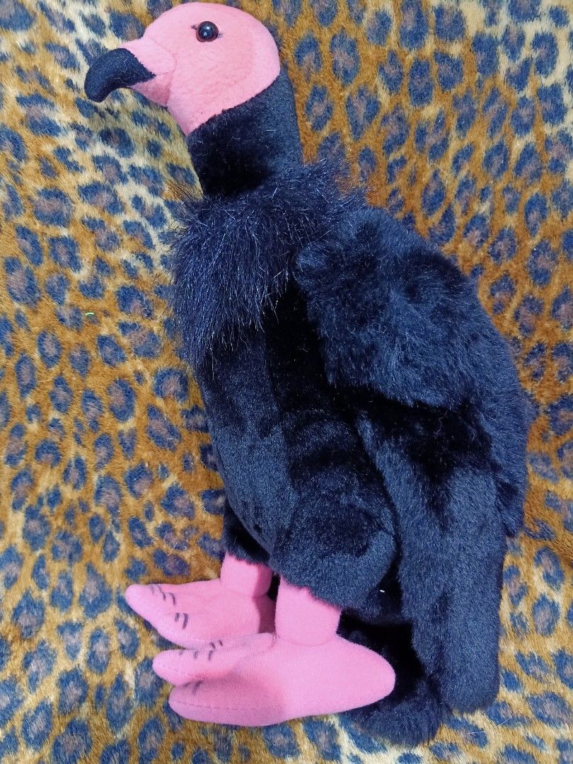 VERY RARE REALISTIC VULTURE BIRD PLUSH TOY, Hobbies & Toys, Toys ...