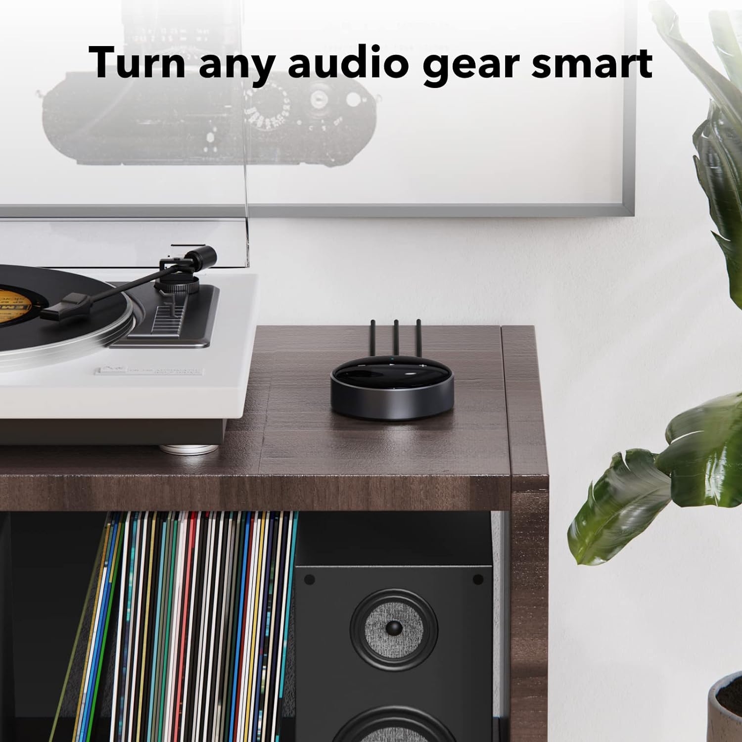 WiiM Mini AirPlay2 Wireless Audio Streamer, Multiroom Stereo, Preamplifier, Works with Alexa and ...