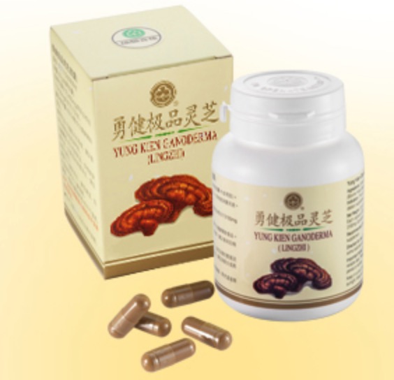 Lingzhi, Health & Nutrition, Health Supplements, Vitamins & Supplements ...