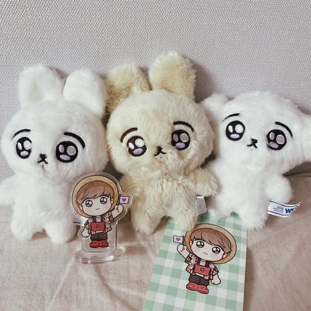 BTS Jungkook JK kookook (set) 10cm White & Cream Bunny Rabbit & Puppy ...
