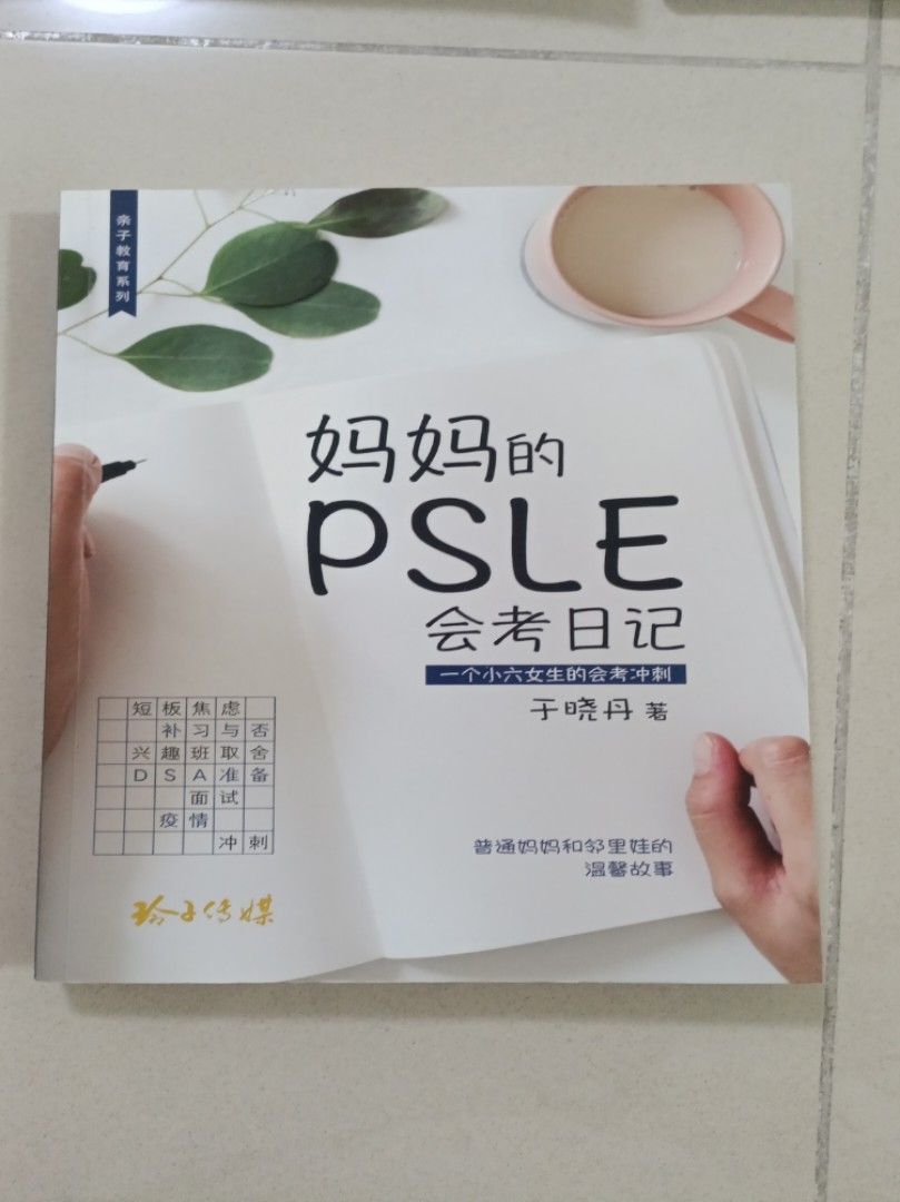 Decoding DSA guide & PSLE mummy's diary $5 each, Hobbies & Toys, Books ...