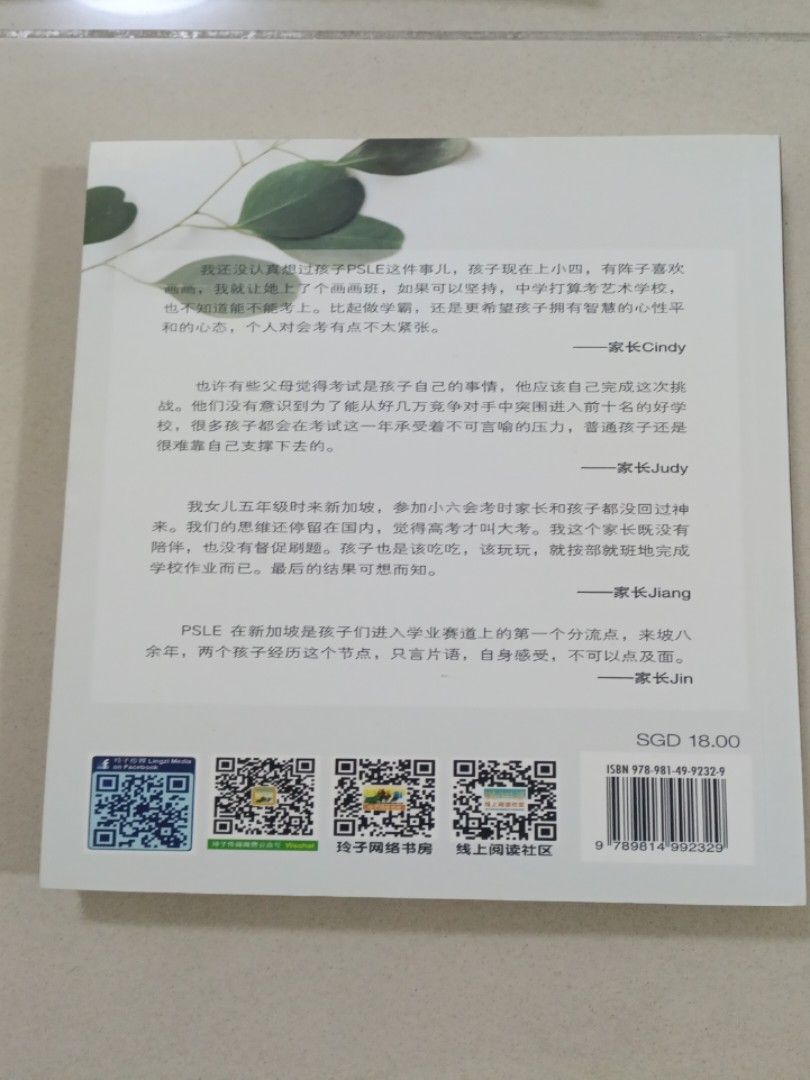Decoding DSA guide & PSLE mummy's diary $5 each, Hobbies & Toys, Books ...