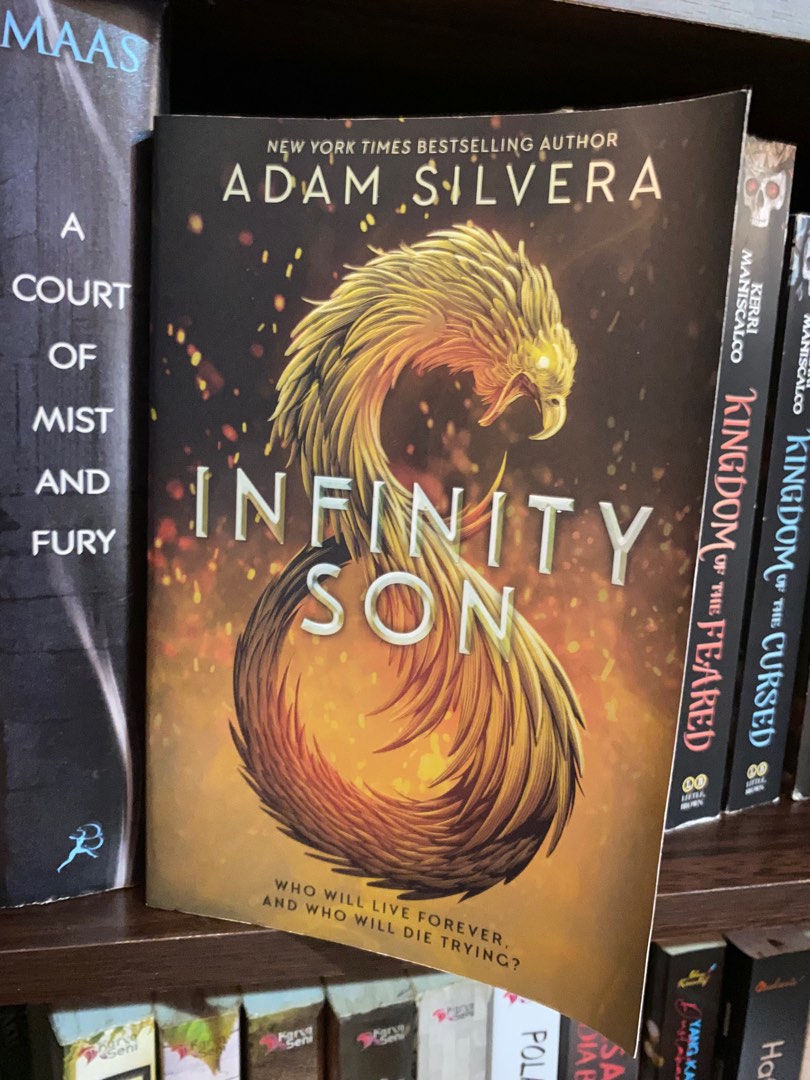 [English Book] Infinity Son by Adam Silvera, Hobbies & Toys, Books ...