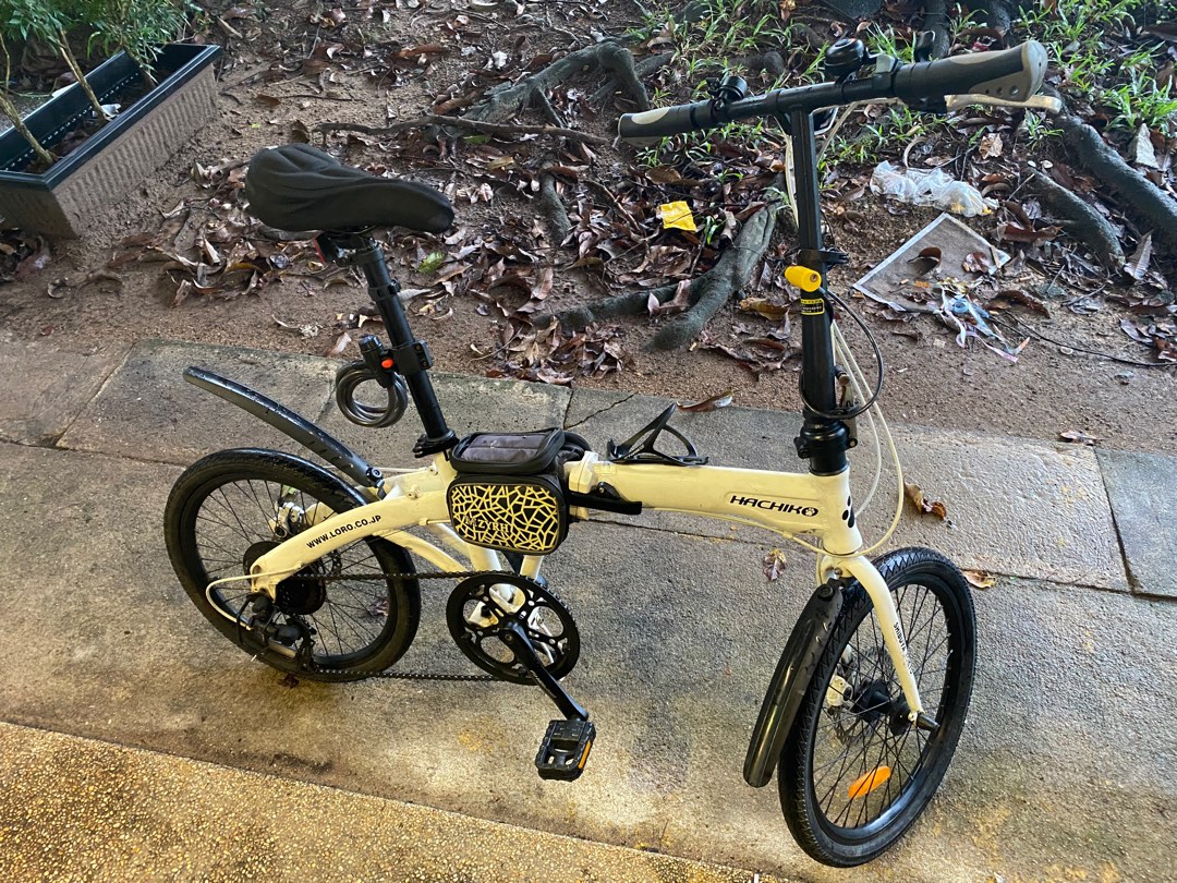 Foldable Bicycle, Sports Equipment, Bicycles & Parts, Bicycles on Carousell