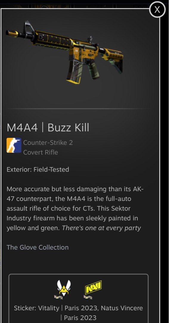 FT M4A4 Buzz Kill, Video Gaming, Gaming Accessories, In-Game Products ...