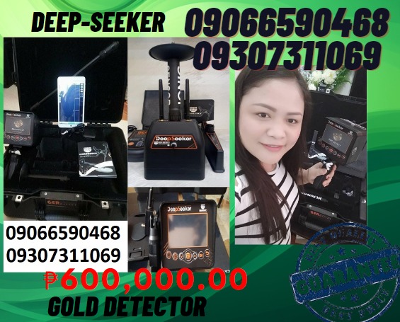 Ground scanner and locator Deep-Seeker Metal and gold detector ...