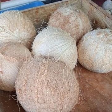 INDONESIAN COCONUT KOPYOR INDONESIAN READY-TO-EAT FRESH COCONUT KOPYOR ...