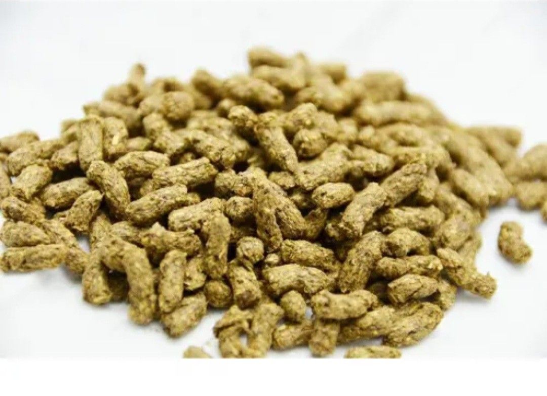 Japan GEX Rabbit Food (850g), Pet Supplies, Pet Food on Carousell