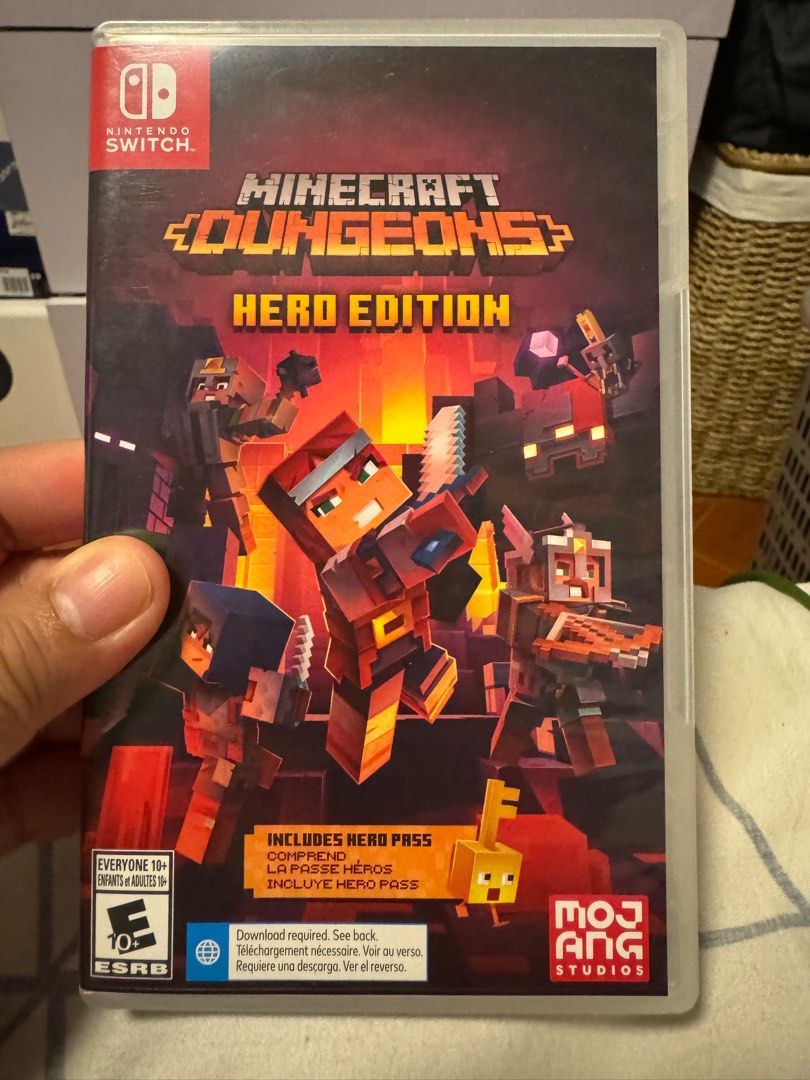 Minecraft Dungeon Hero Edition, Video Gaming, Video Games, Nintendo on ...