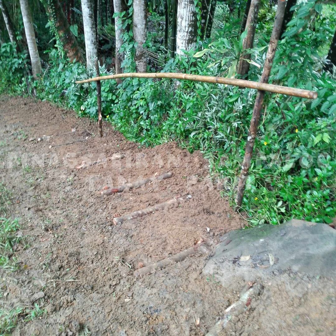 Sampaloc Tanay Rizal FarmLot with Sea of clouds, Property, For Sale ...