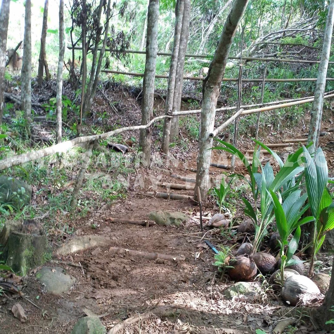 Sampaloc Tanay Rizal FarmLot with Sea of clouds, Property, For Sale ...