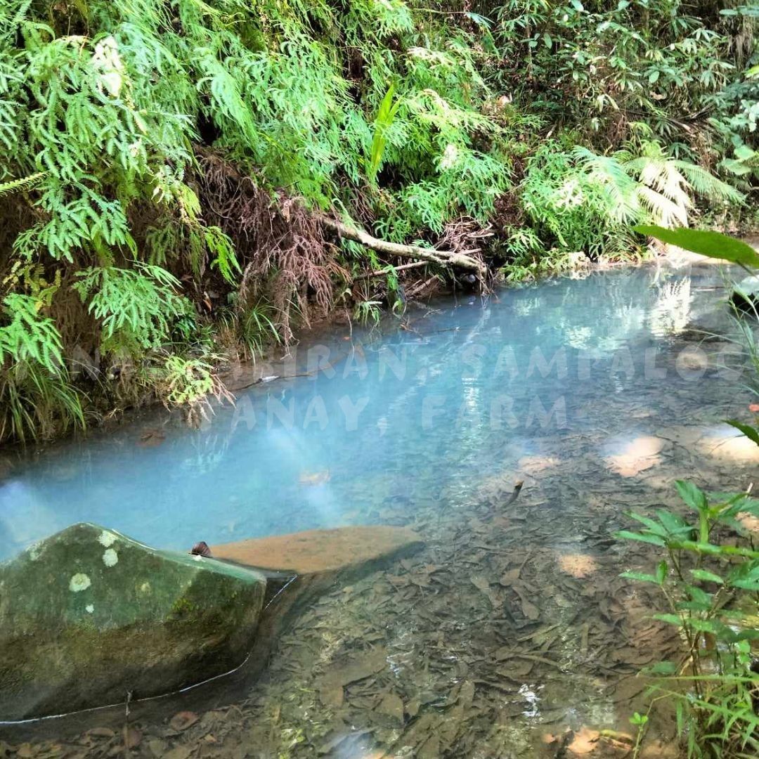 Sampaloc Tanay Rizal FarmLot with Sea of clouds, Property, For Sale ...