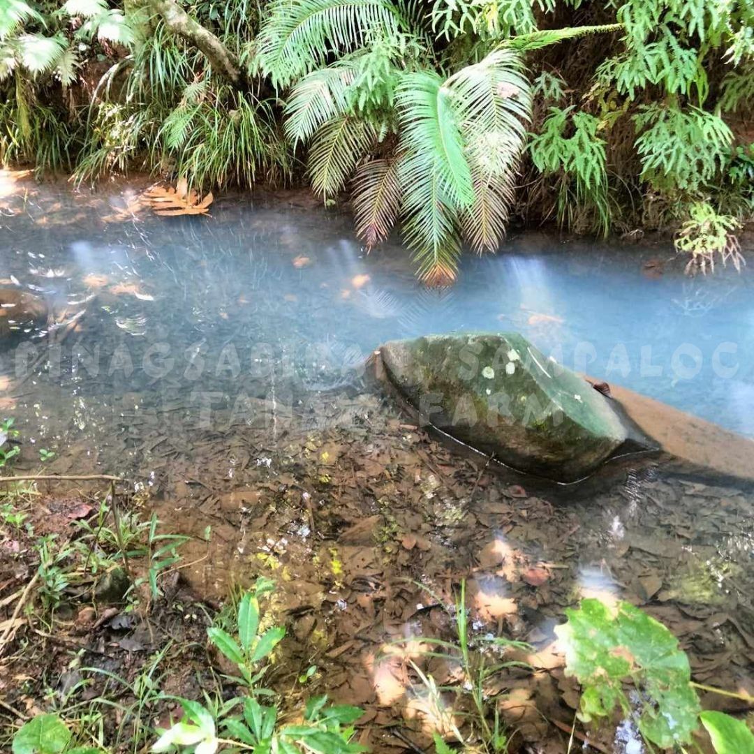 Sampaloc Tanay Rizal FarmLot with Sea of clouds, Property, For Sale ...