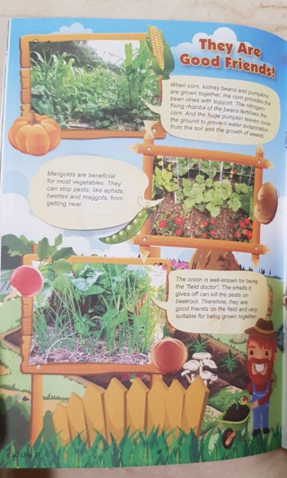 Science adventures level 3 box set (10), Hobbies & Toys, Books ...