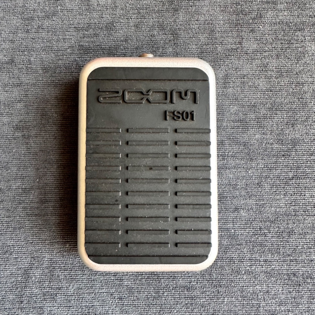 Zoom FS01 Momentary Foot Switch, Hobbies & Toys, Music & Media, Music Accessories on Carousell