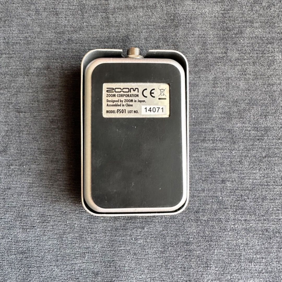 Zoom FS01 Momentary Foot Switch, Hobbies & Toys, Music & Media, Music Accessories on Carousell