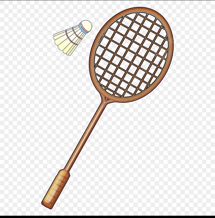 Badminton court let go: 20Nov 4-6pm, Pasir Ris OBA Aerna, Sports ...