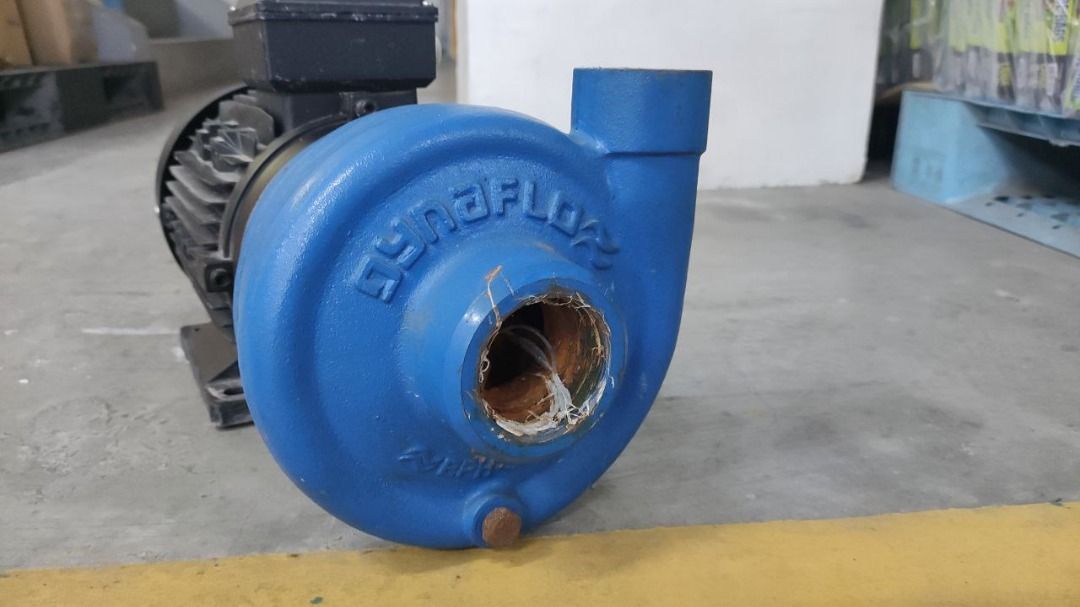 Dyna Flo Centrifugal Pump (DES Series) 3 HP Pump and Water System ...