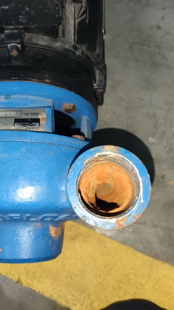 Dyna Flo Centrifugal Pump (DES Series) 3 HP Pump and Water System ...