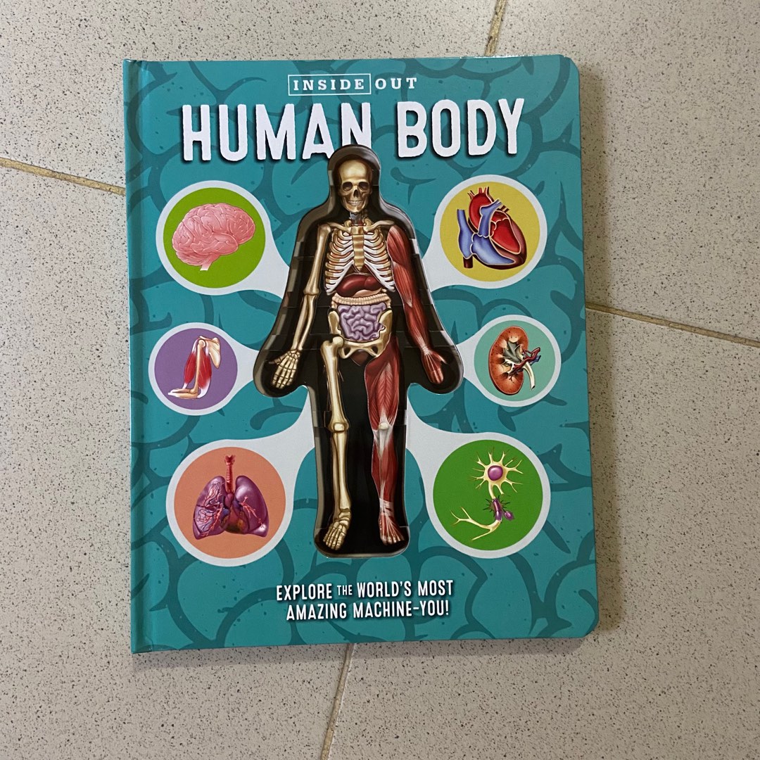 Inside Out | Human Body, Hobbies & Toys, Books & Magazines, Children's ...