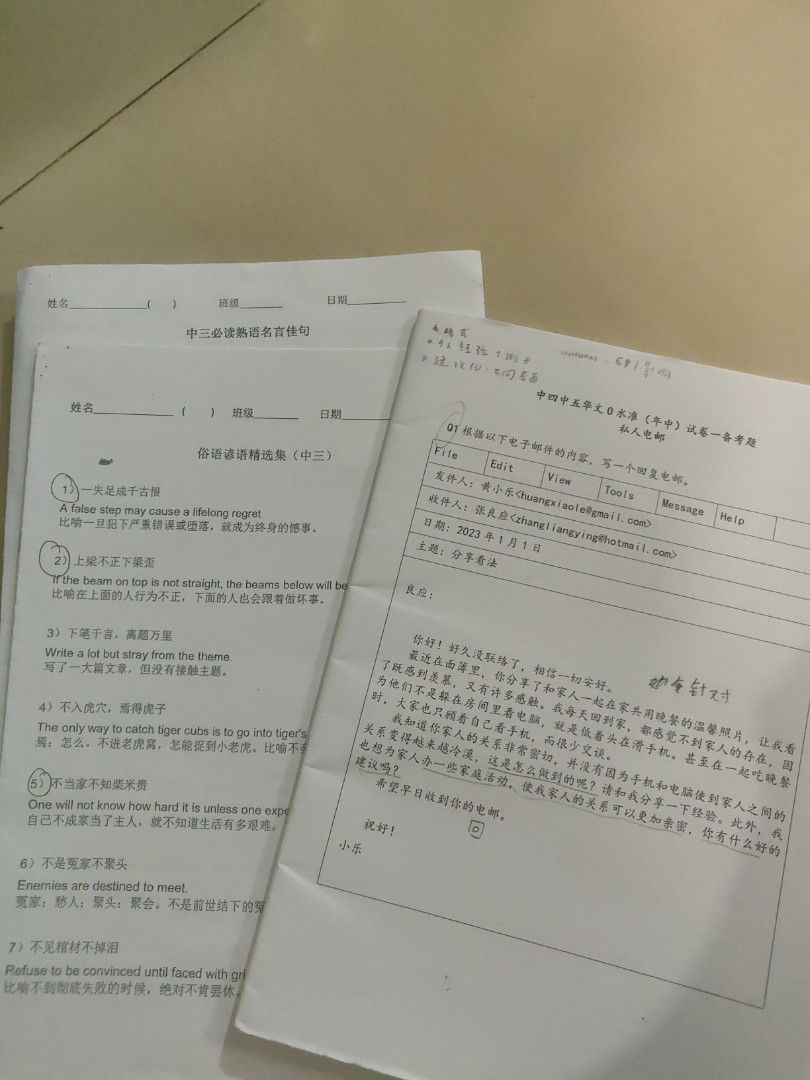 O level Chinese Cheat Sheet, Hobbies & Toys, Books & Magazines ...