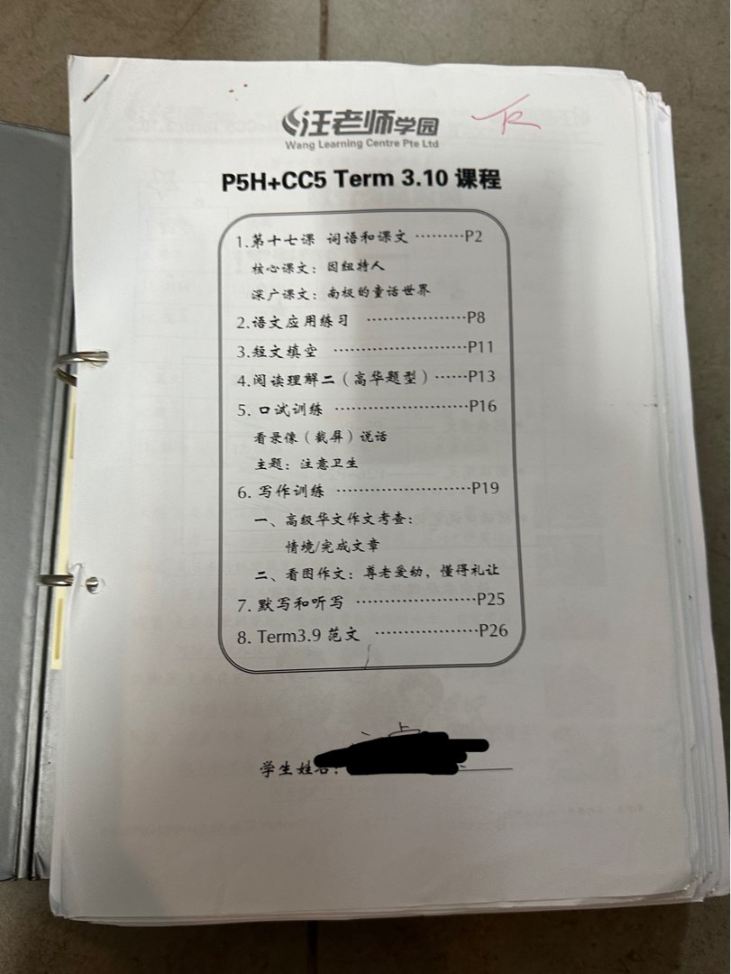 P5 Wang Learning Centre HCL higher chinese notes Term 1 to 3, Hobbies ...