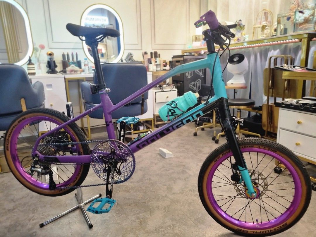 Polygon zeta 2 fully modified, Sports Equipment, Bicycles & Parts ...