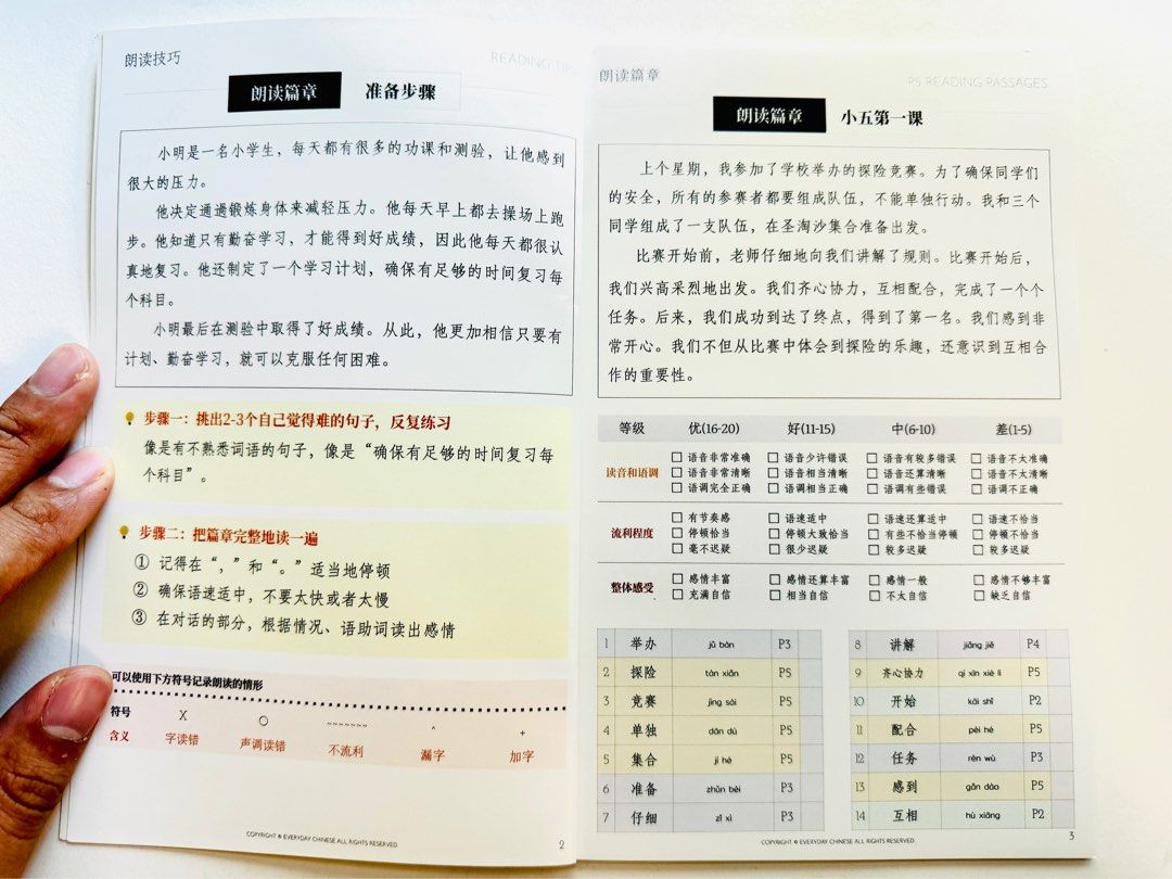 PSLE CHINESE READING BOOKLET (HARD COPY), Hobbies & Toys, Books ...