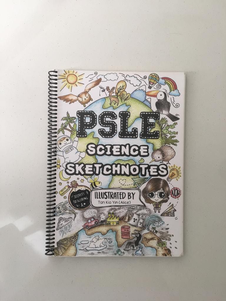 PSLE Science Sketchnotes, Hobbies & Toys, Books & Magazines, Assessment ...