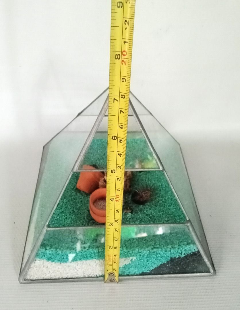 Pyramid Glass Terrarium, Furniture & Home Living, Gardening, Pots ...