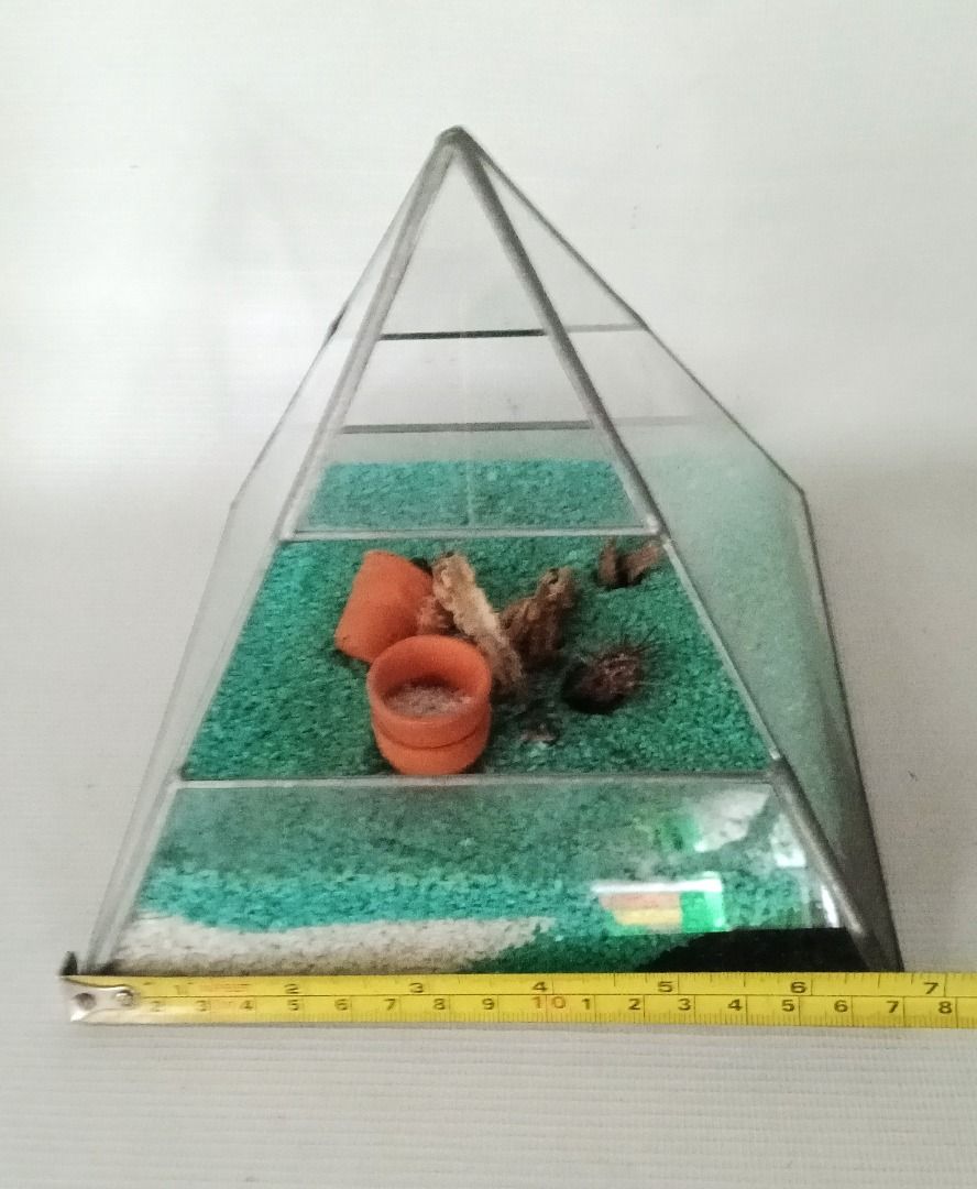 Pyramid Glass Terrarium, Furniture & Home Living, Gardening, Pots ...