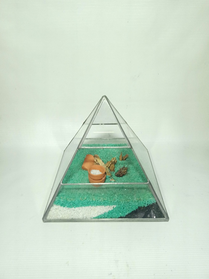 Pyramid Glass Terrarium, Furniture & Home Living, Gardening, Pots ...